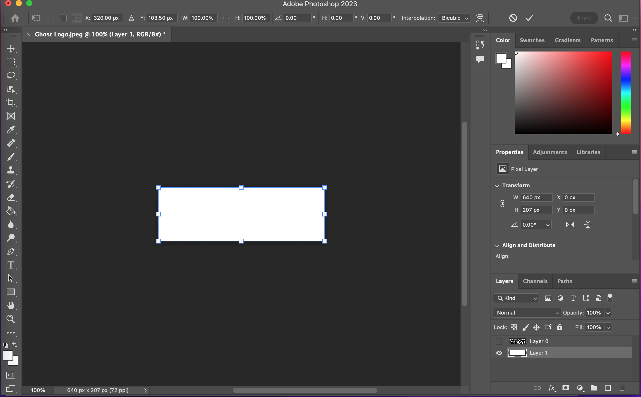 Solved: Transform Tool Not Actually Resizing Layer - Adobe Product Community - 13423487